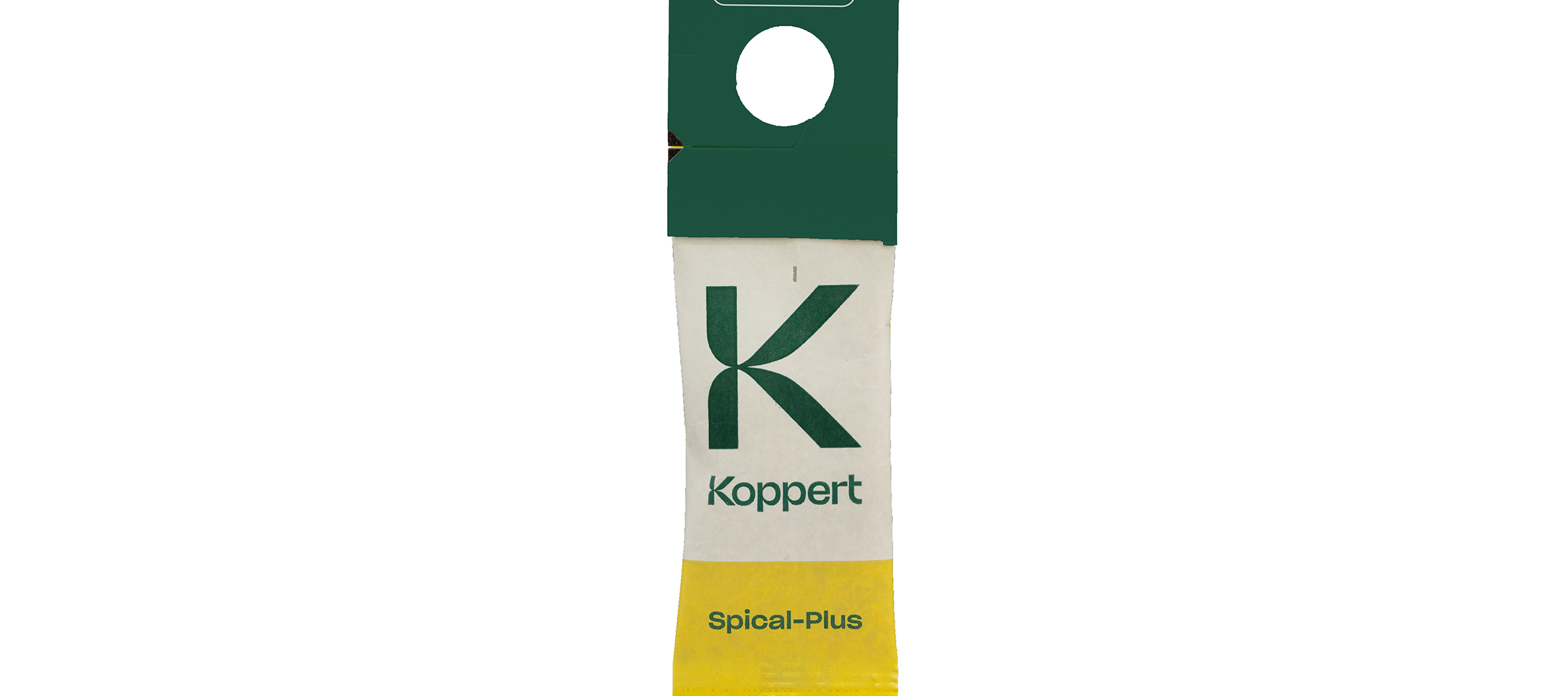 Spider Mite Control: The Essential Guide | Koppert US