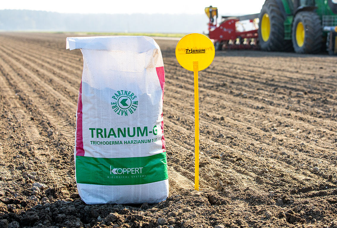 Trianum-G | Koppert Products