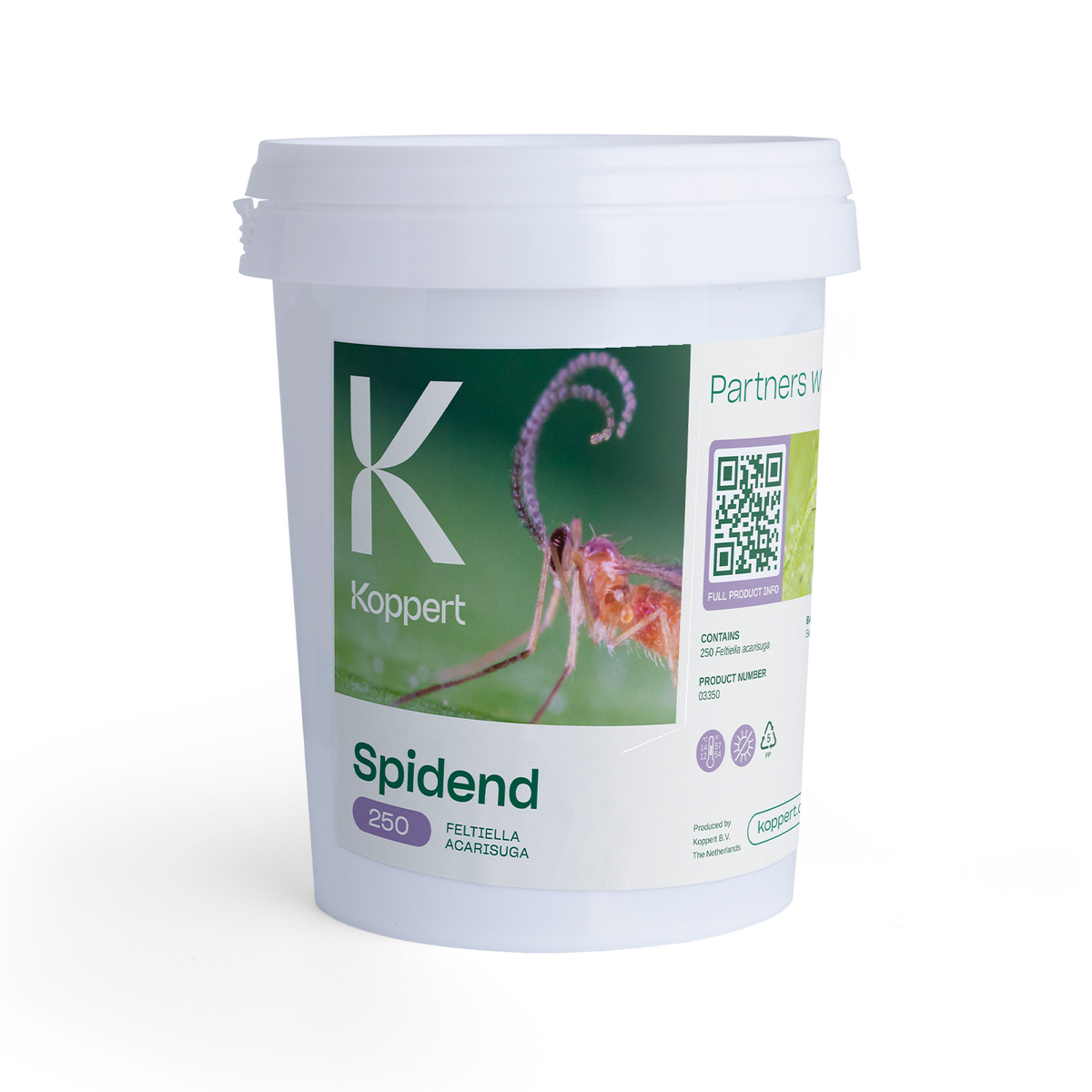 Spidend | Spider Mite Control | Gall Midges (Feltiella acarisuga)