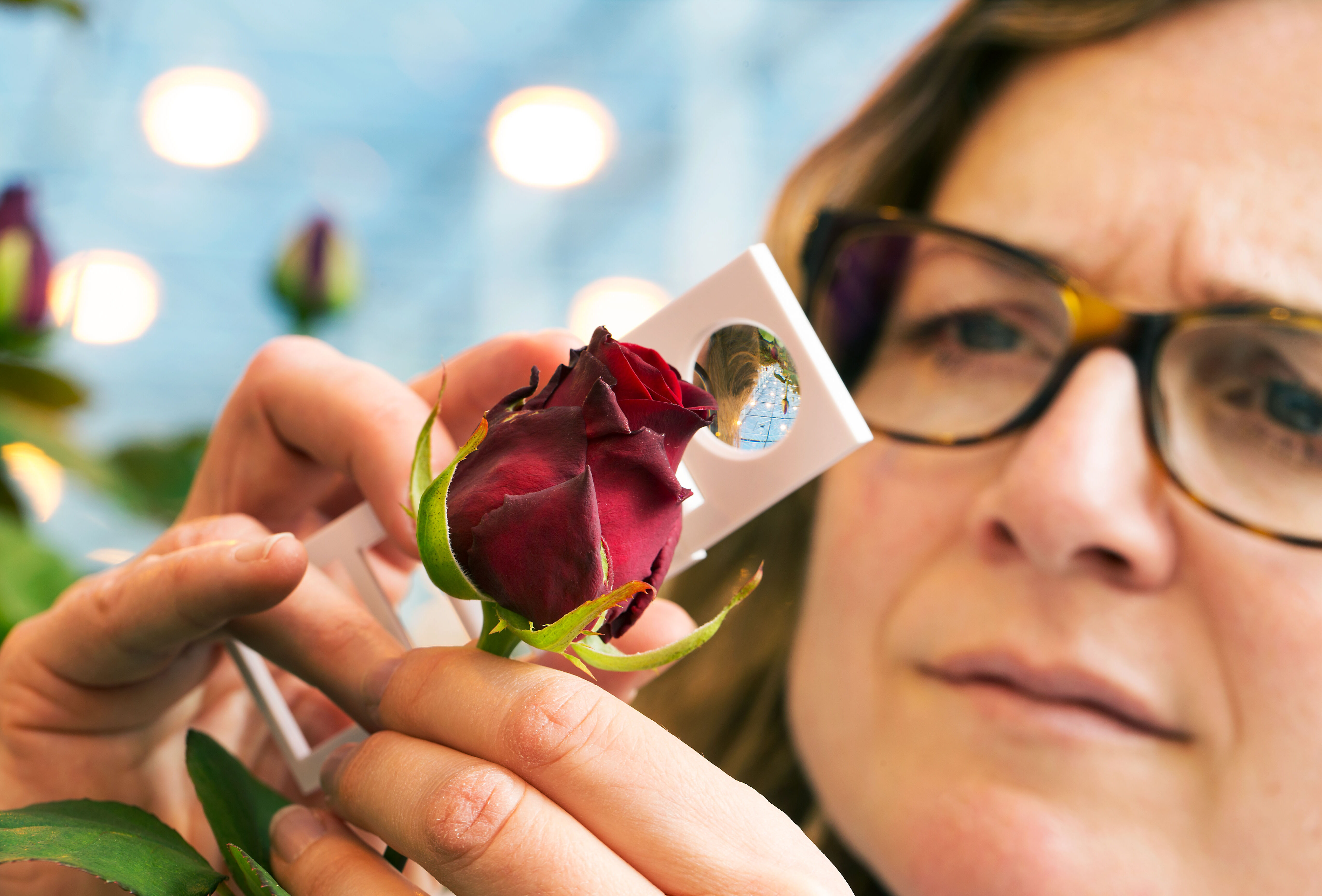 Working at Koppert | Koppert US