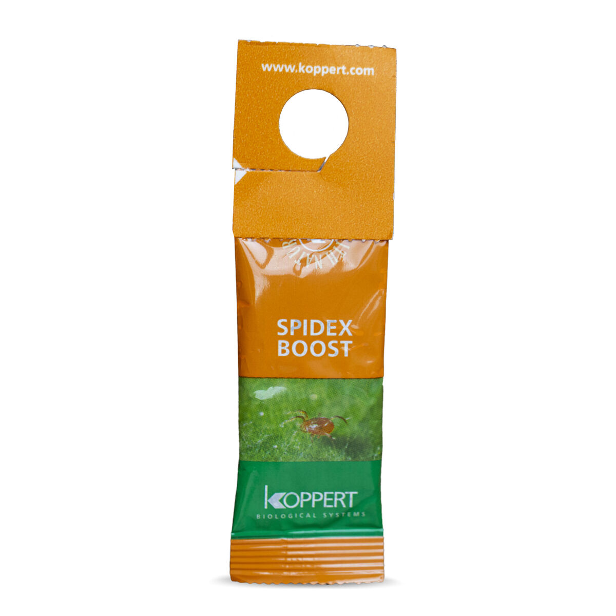 Spidex Boost | Control Spider Mite | Predatory Mites (Phytoseiulus ...