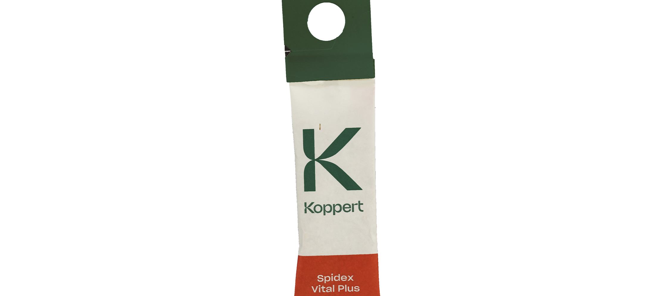 Spider Mite Control: The Essential Guide | Koppert US