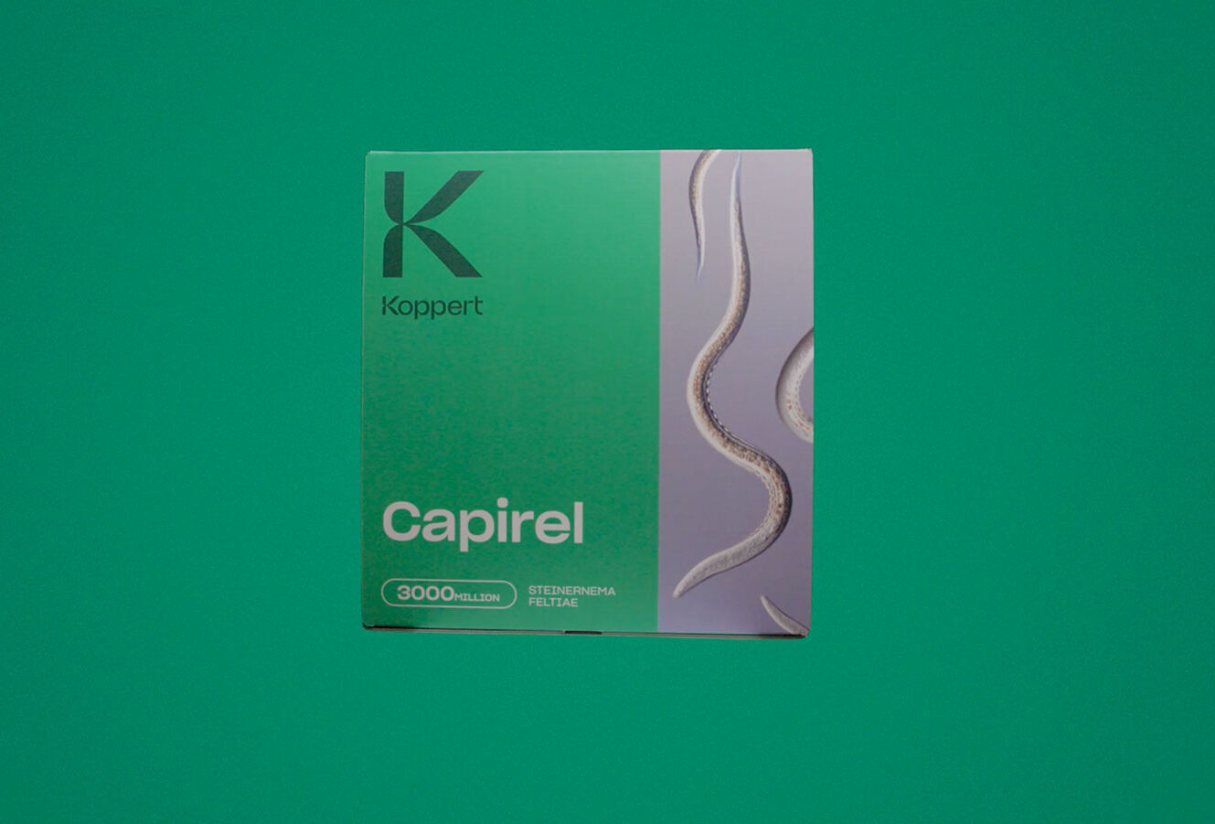 Koppert's beneficial nematodes: new look and ready for the future ...