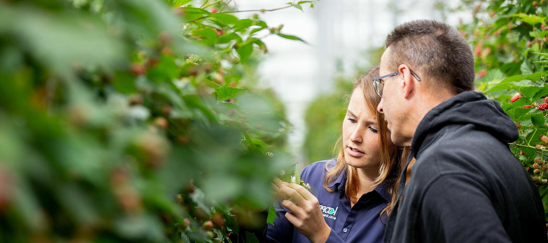 Working at Koppert | Koppert US