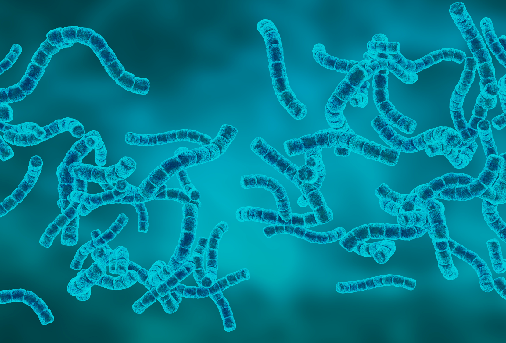 Streptorid FP | Microbial seed treatment | Streptomyces