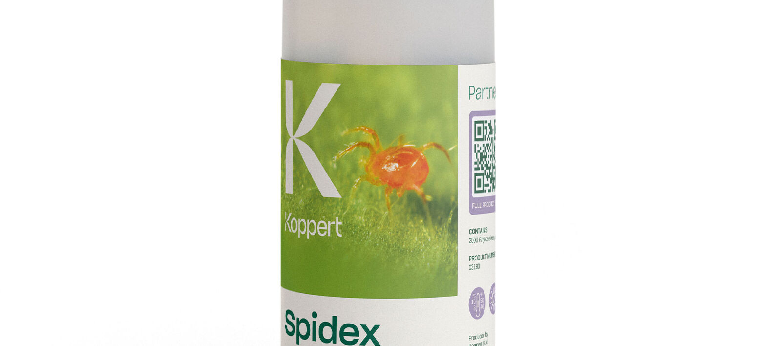 Spider Mite Control: The Essential Guide | Koppert US