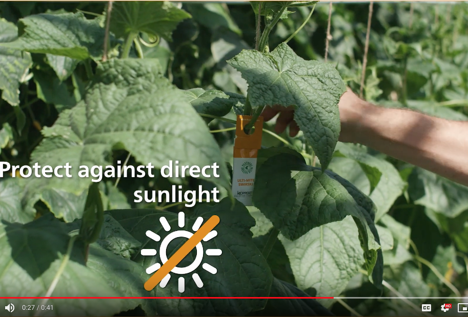 How-to-Use Videos Now Available | Koppert US