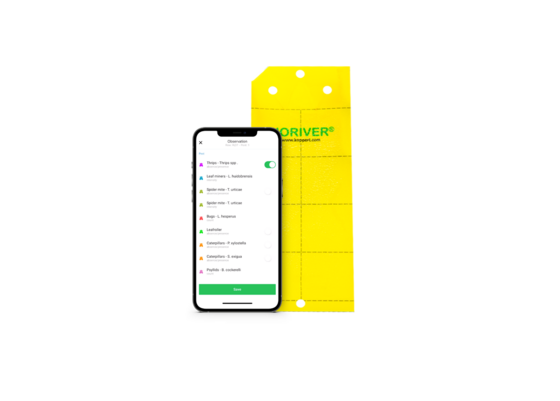 Koppert celebrates 50th anniversary | Koppert US