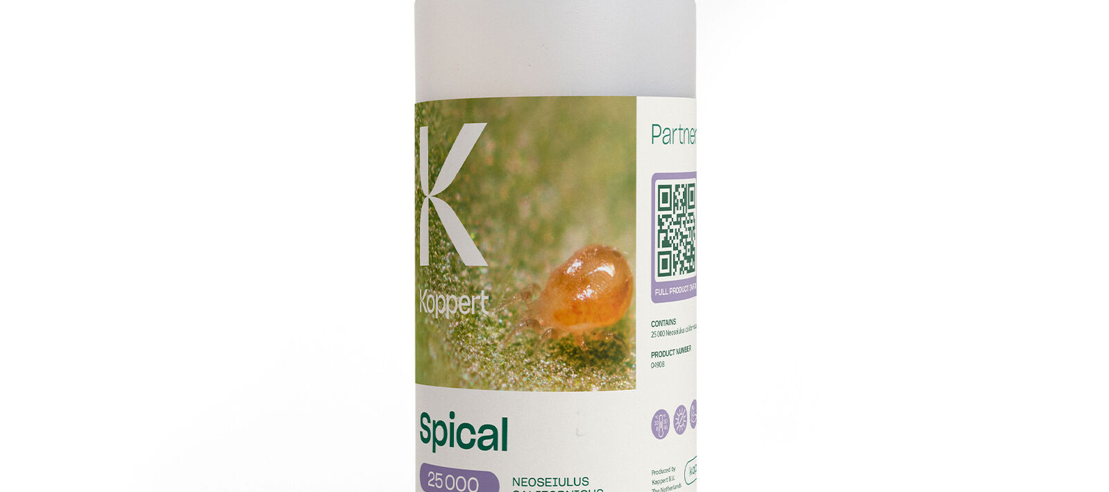 Spider Mite Control: The Essential Guide | Koppert US