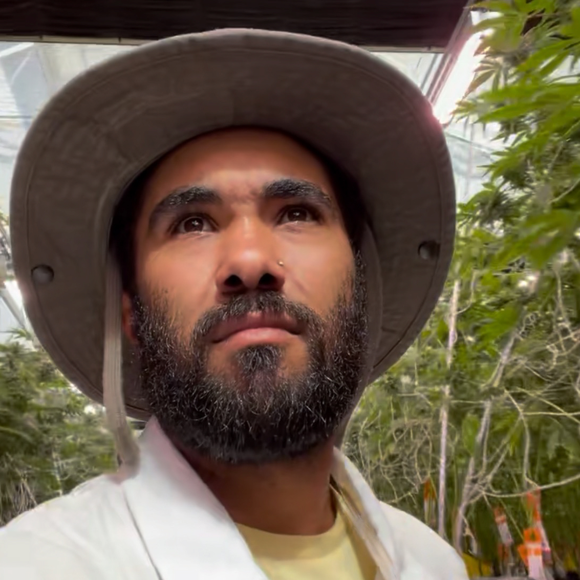 Protect Poinsettias From Whiteflies | Koppert US