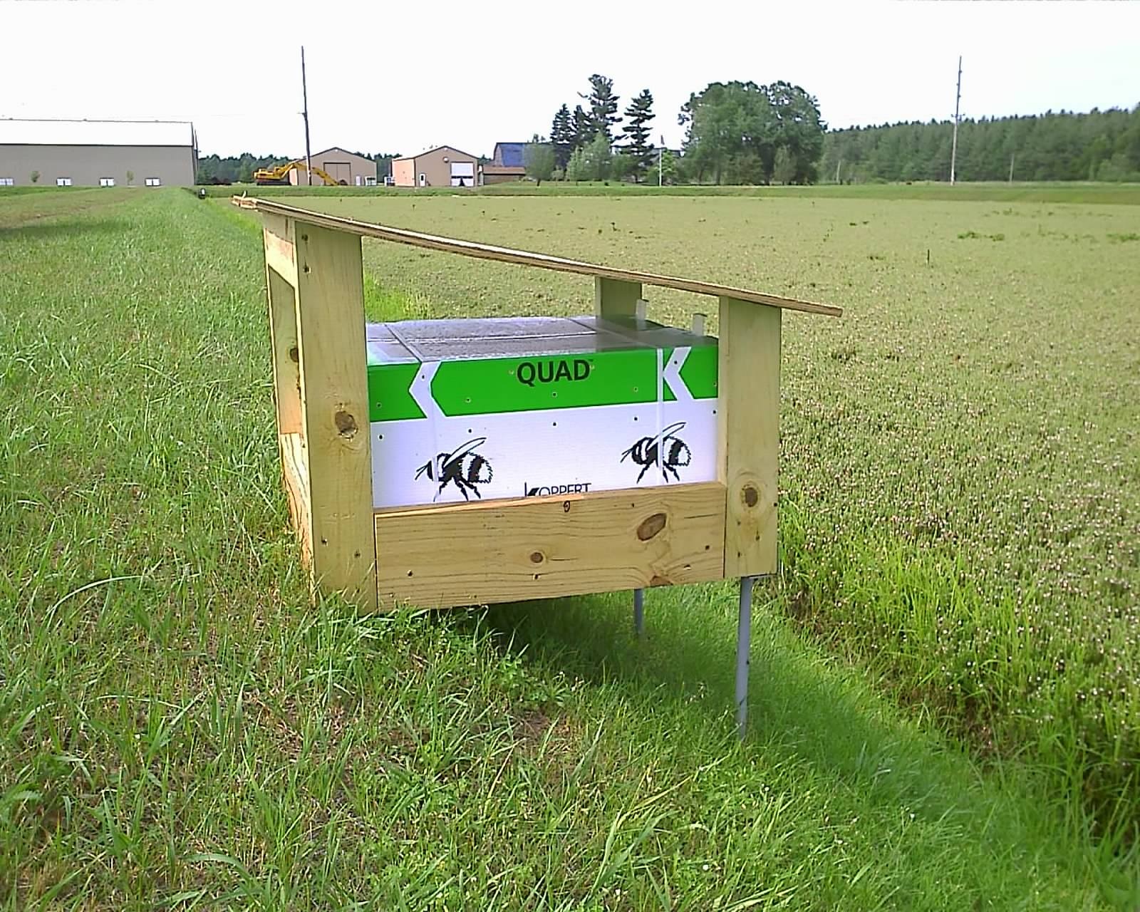 WARNING: Bumblebees – Keep them Cool this Summer! | Koppert US